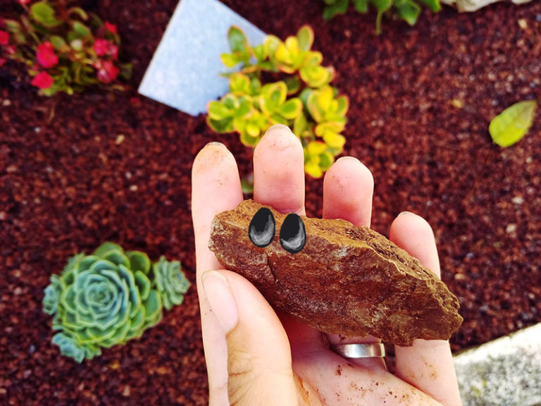 Pet Rock Names Funny & Fun: From Rocky to Sylvester the Stone
