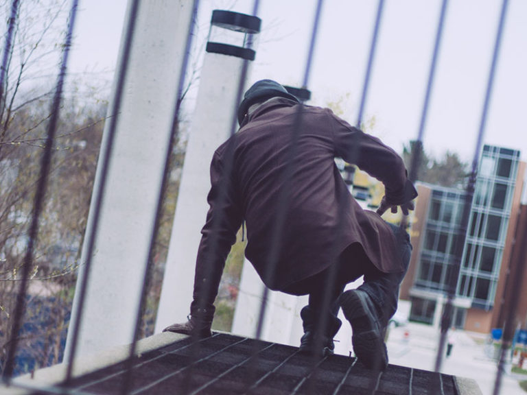 Nicknames for Roberts: From "Rob" & "Bob" to "Robbers," "Obert ...