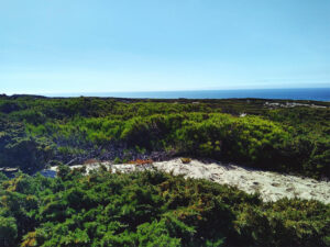 Enby Names: Unique Nonbinary Names & Common Unisex Names for Enbies