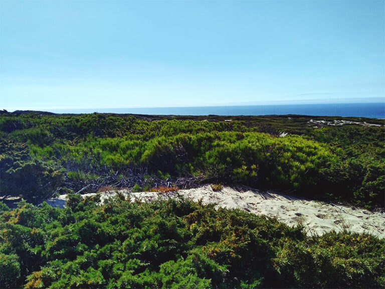 Enby Names: Unique Nonbinary Names & Common Unisex Names for Enbies