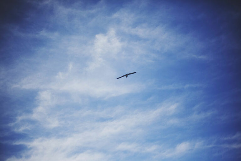 Enby Names: Unique Nonbinary Names & Common Unisex Names for Enbies