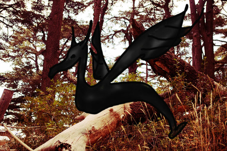 Black Dragon Names: From Tariq & Nero to Jet & Blackout