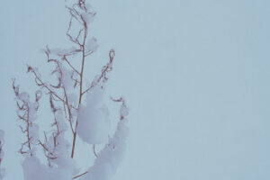 Frosty Ice Names: Names That Mean Ice & More, From Yuki to Xeo to Boreal