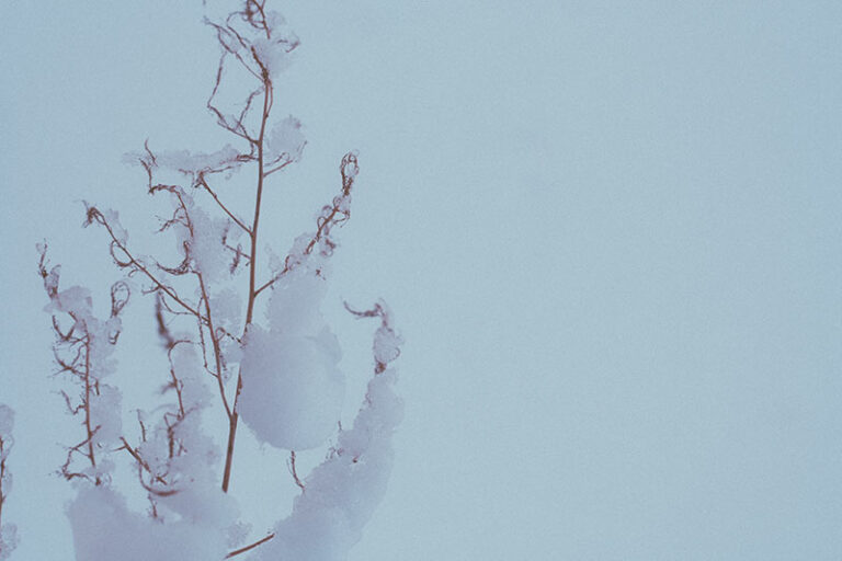 Frosty Ice Names: Names That Mean Ice & More, From Yuki to Xeo to Boreal