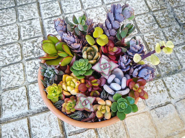 Enby Names: Unique Nonbinary Names & Common Unisex Names for Enbies