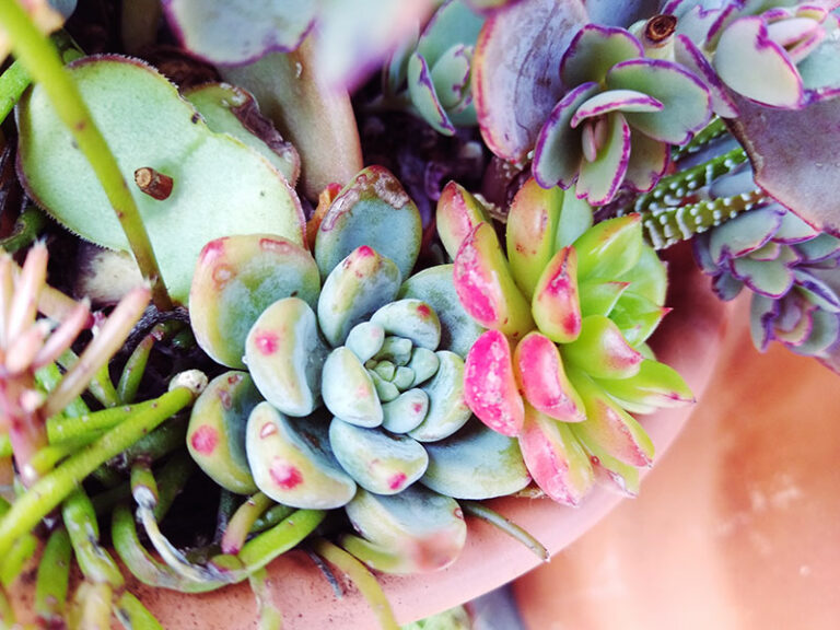 Enby Names: Unique Nonbinary Names & Common Unisex Names for Enbies