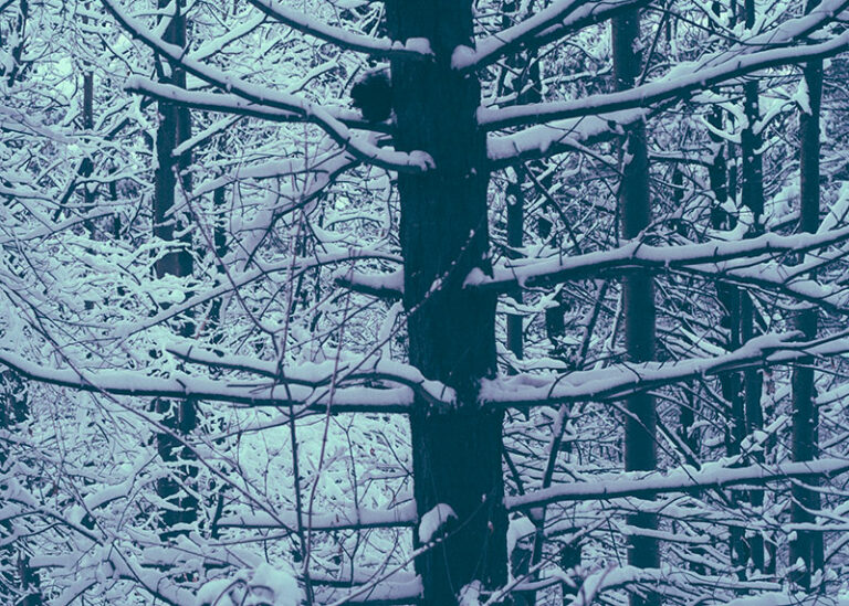 Frosty Ice Names: Names That Mean Ice & More, From Yuki to Xeo to Boreal