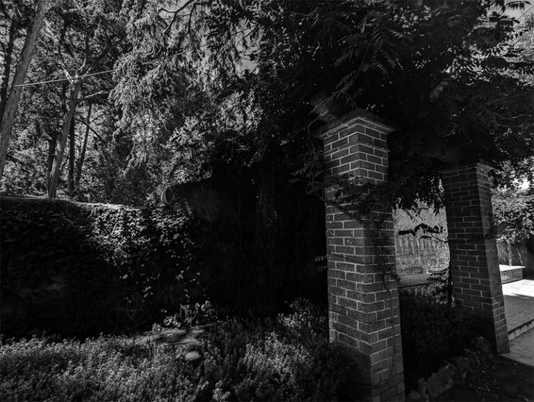 Vampire Nicknames: Cute & Funny Vamp Pet Names from Humans