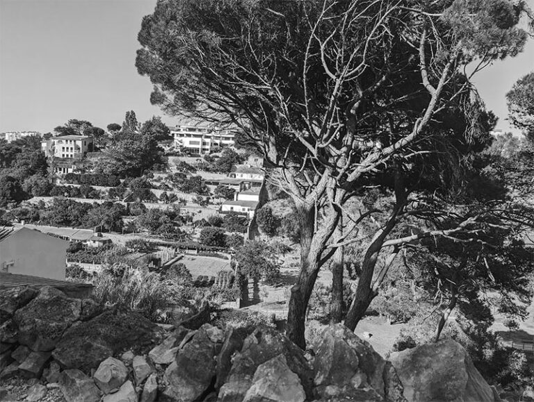 Vampire Nicknames: Cute & Funny Vamp Pet Names from Humans